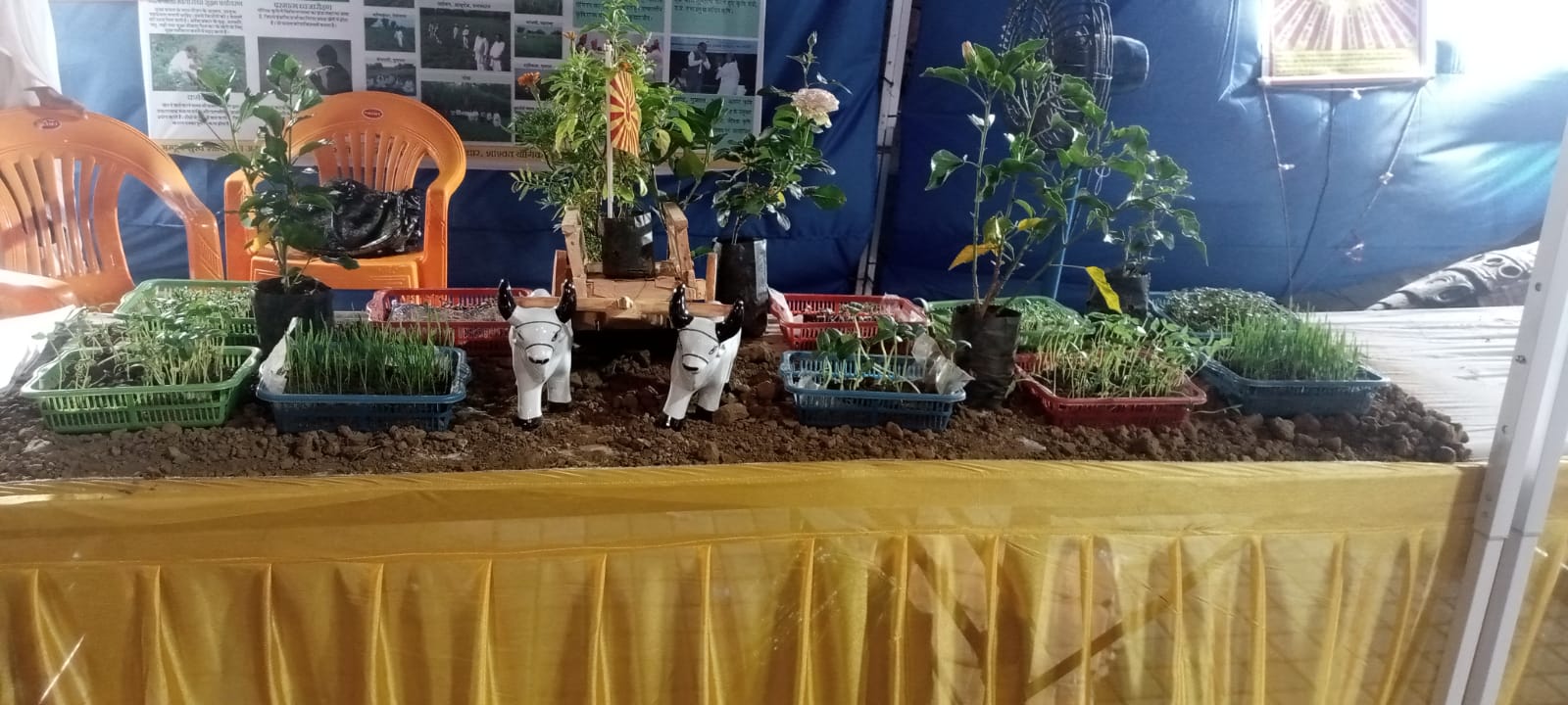 1. Maha Mela stall – Yogic kheti – Brahma Kumaris News